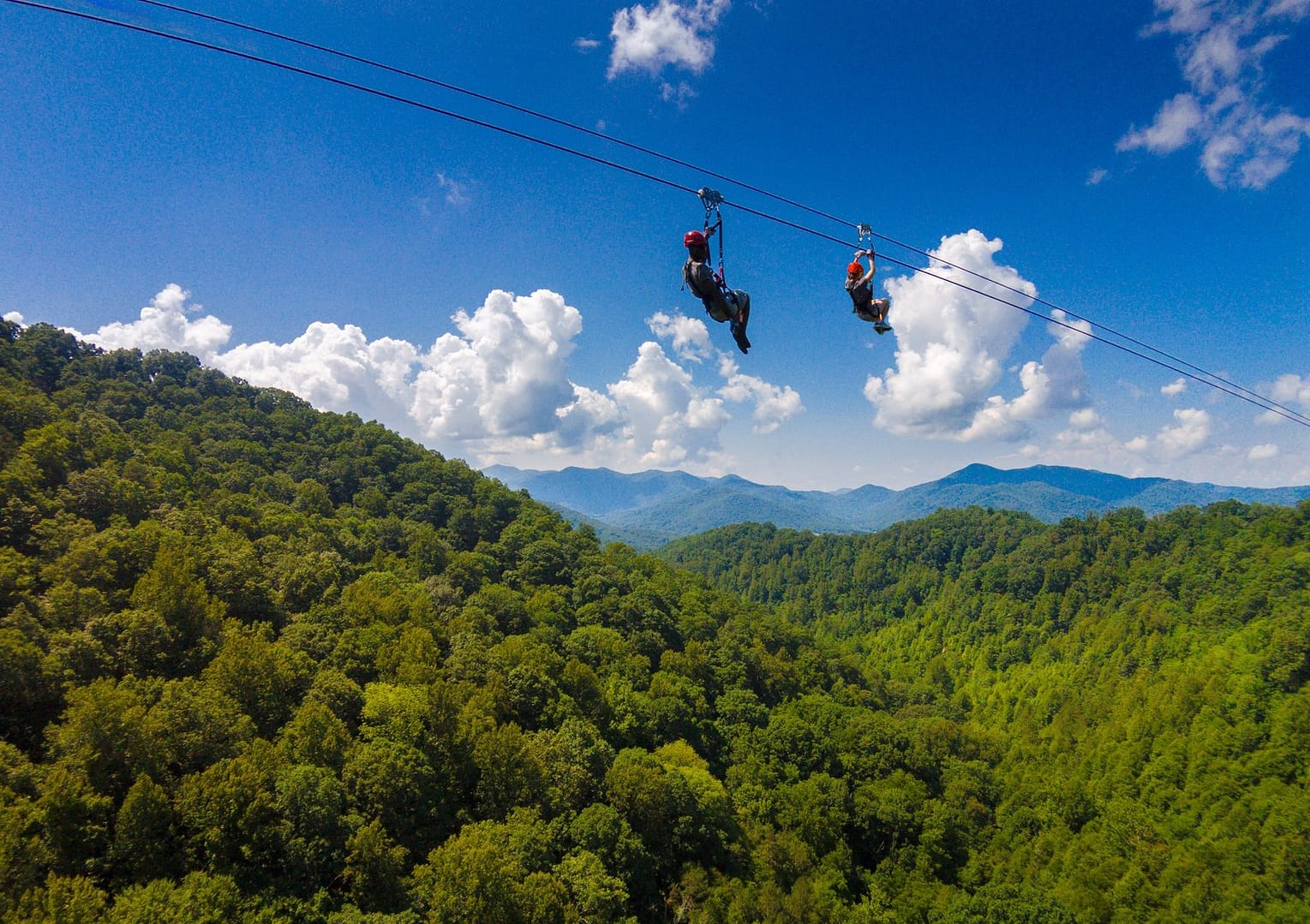 ZIP LINE DHARAMSALA ₹800 PER PERSON – One Web Himalayan Horizon